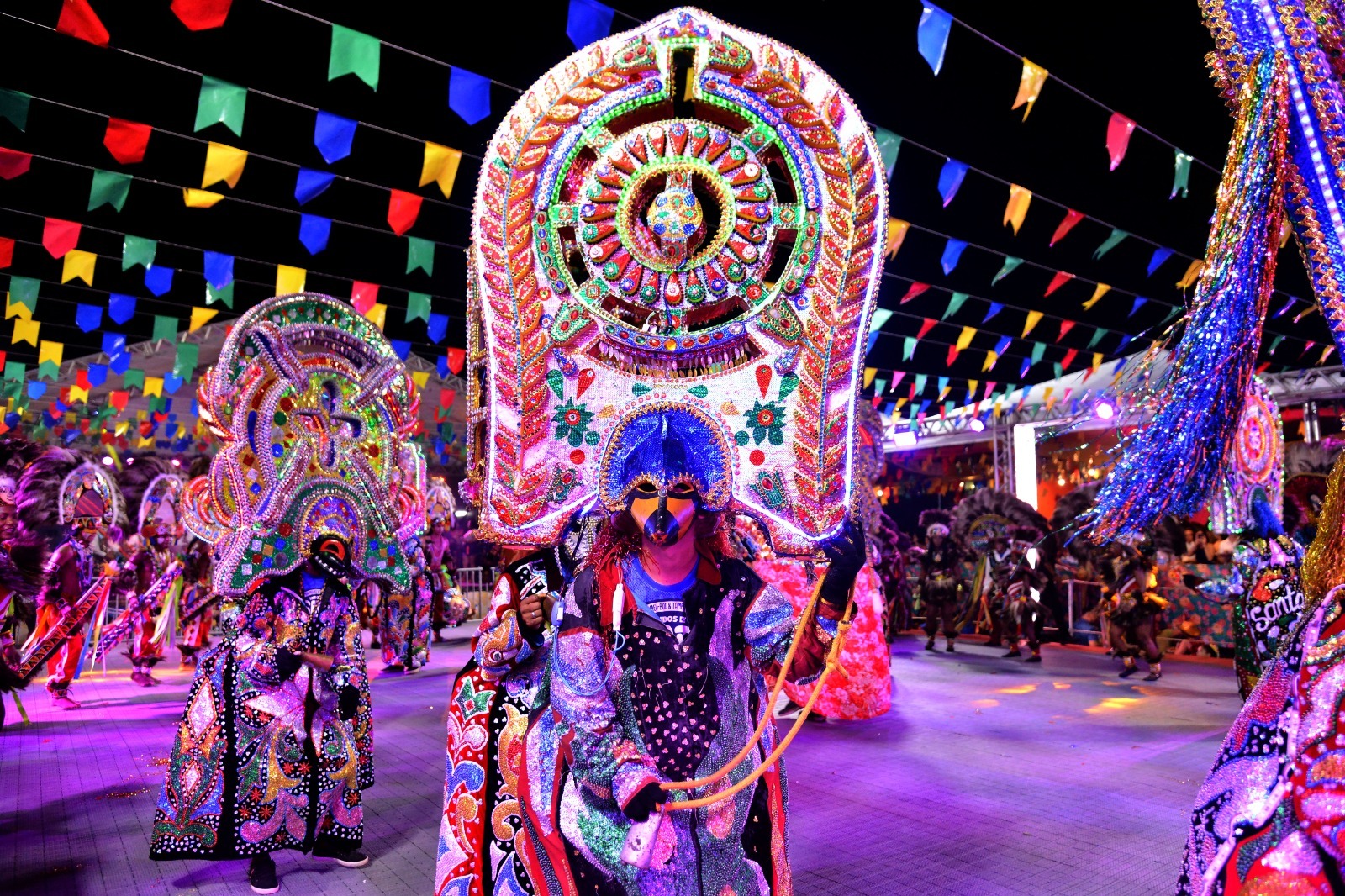 Domingo no Arraial do Ipem terá Rosa Reis, Boi da Maioba e forró no ...